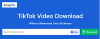 10 Best TikTok Downloaders Without Watermark in 2025