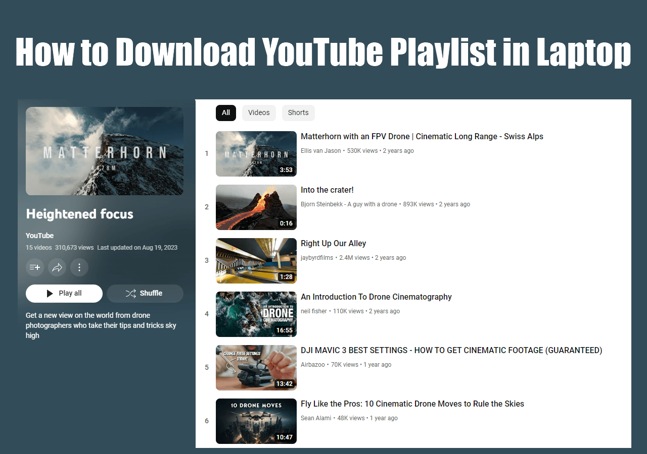 How to Download YouTube Playlist in Laptop for Free