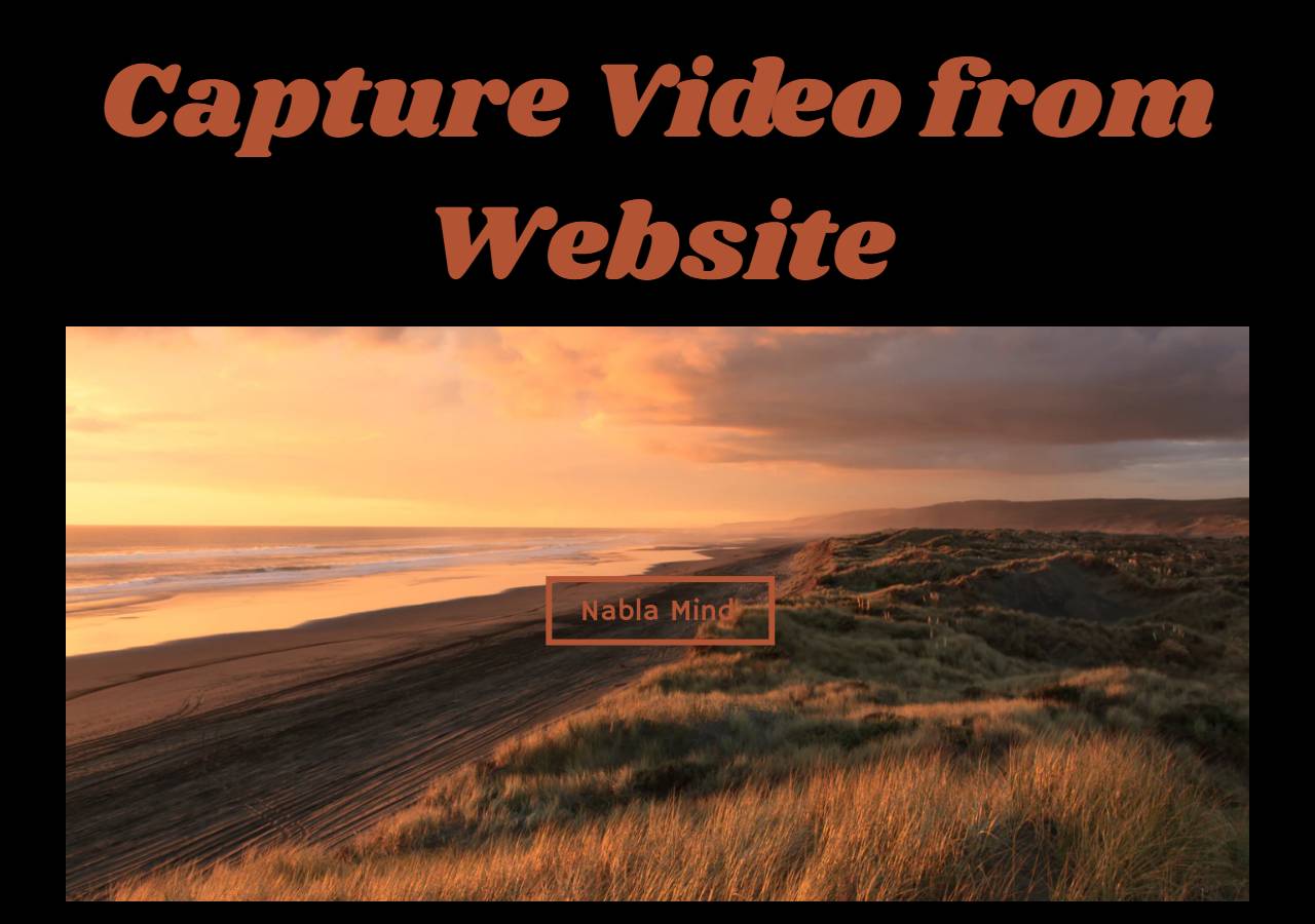 5 Tips: Capture Video from Website in Detail