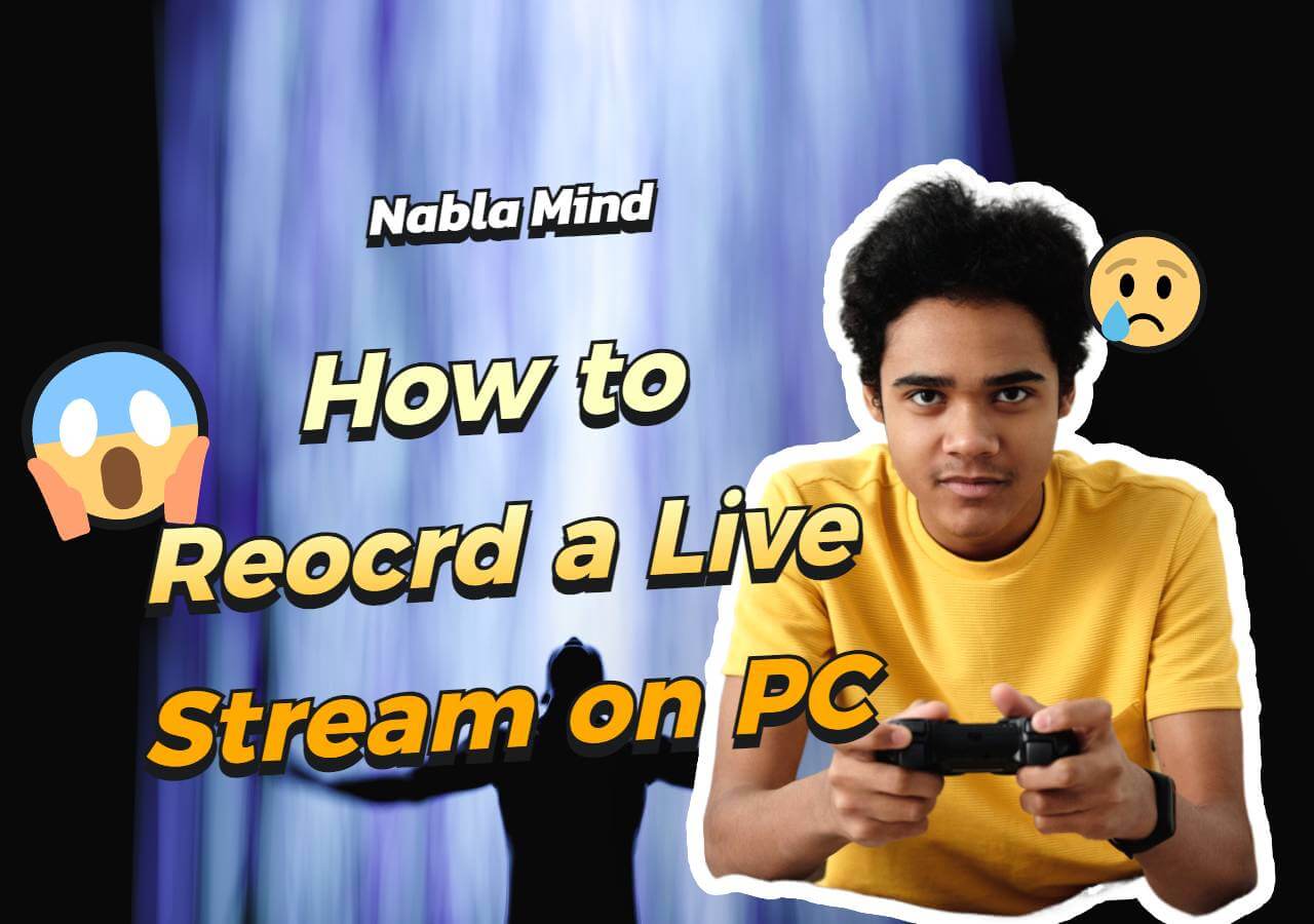 How to Record a Live Stream on PC in Detail: 2025 Guide
