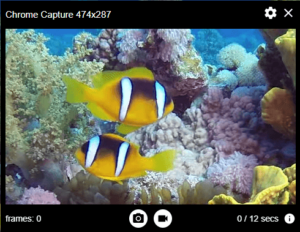 How to Record a GIF on Windows 10 or Windows 11