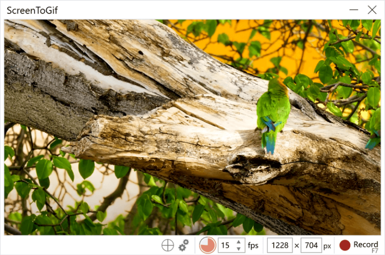How to Record a GIF on Windows 10 or Windows 11
